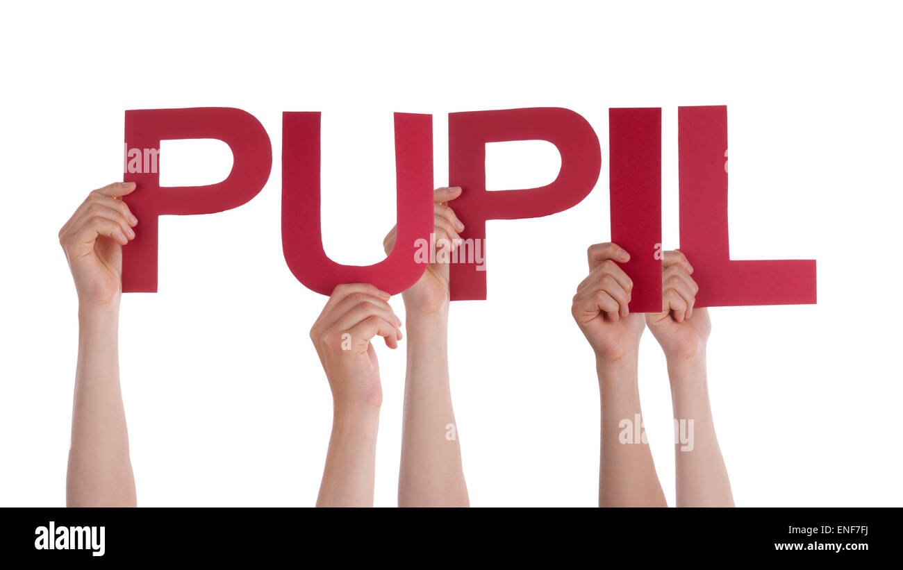 Many People Hands Holding Red Straight Word Pupil Stock Photo - Alamy