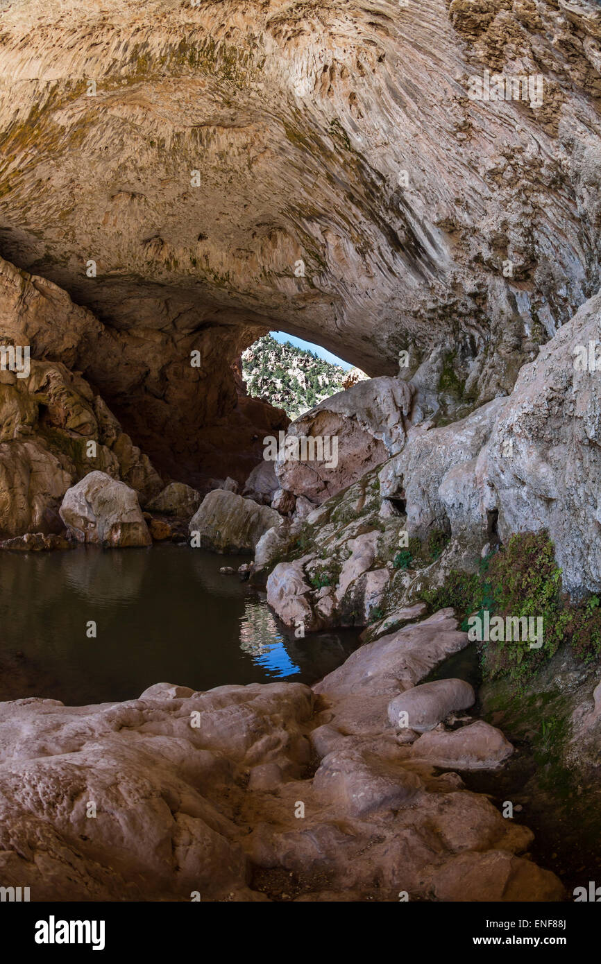 View of natural bridge in Arizona, a natural feature growing with rich ...