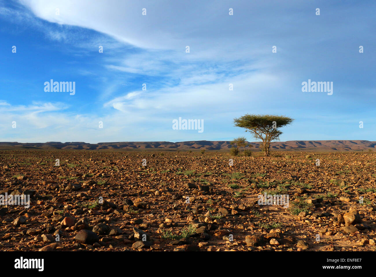 Moroccan landscape hi-res stock photography and images - Alamy