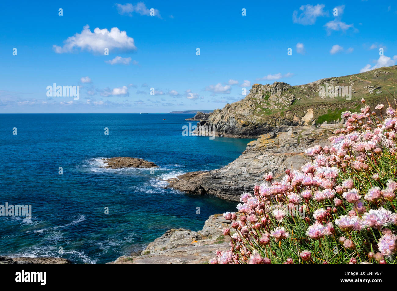 Coastline near prussia cove in hi-res stock photography and images - Alamy