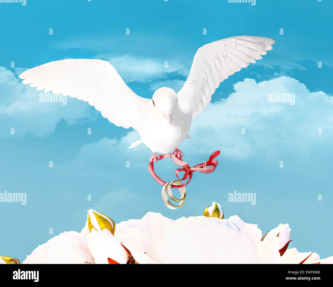 Wedding. The white pigeon in the blue sky, holds wedding rings Stock ...