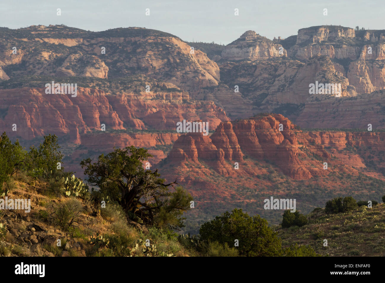 Aerial view of the red rock landscape of Sedona Arizona Stock Photo - Alamy