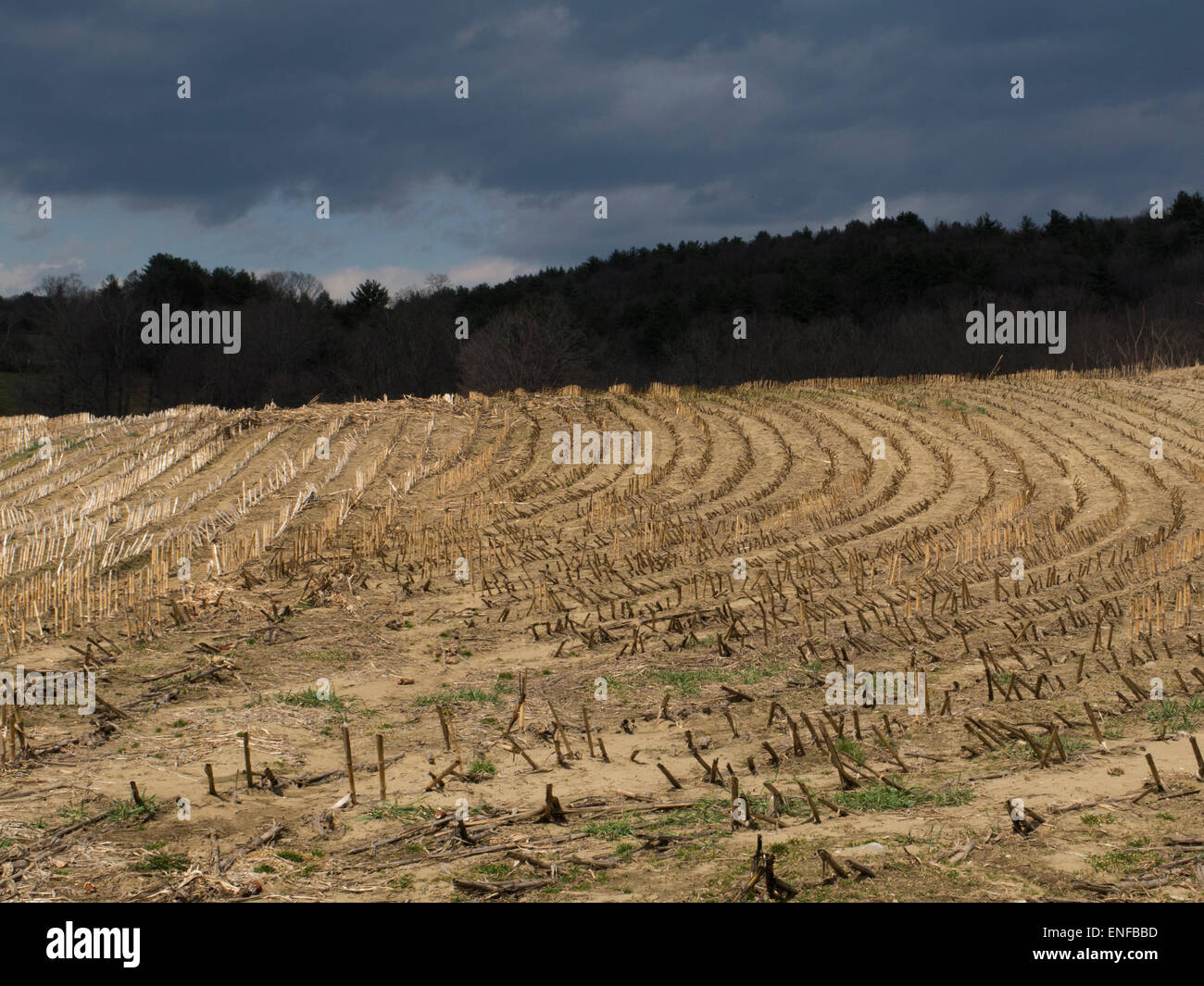 A dry field in early spring with storm clouds approaching Stock Photo ...