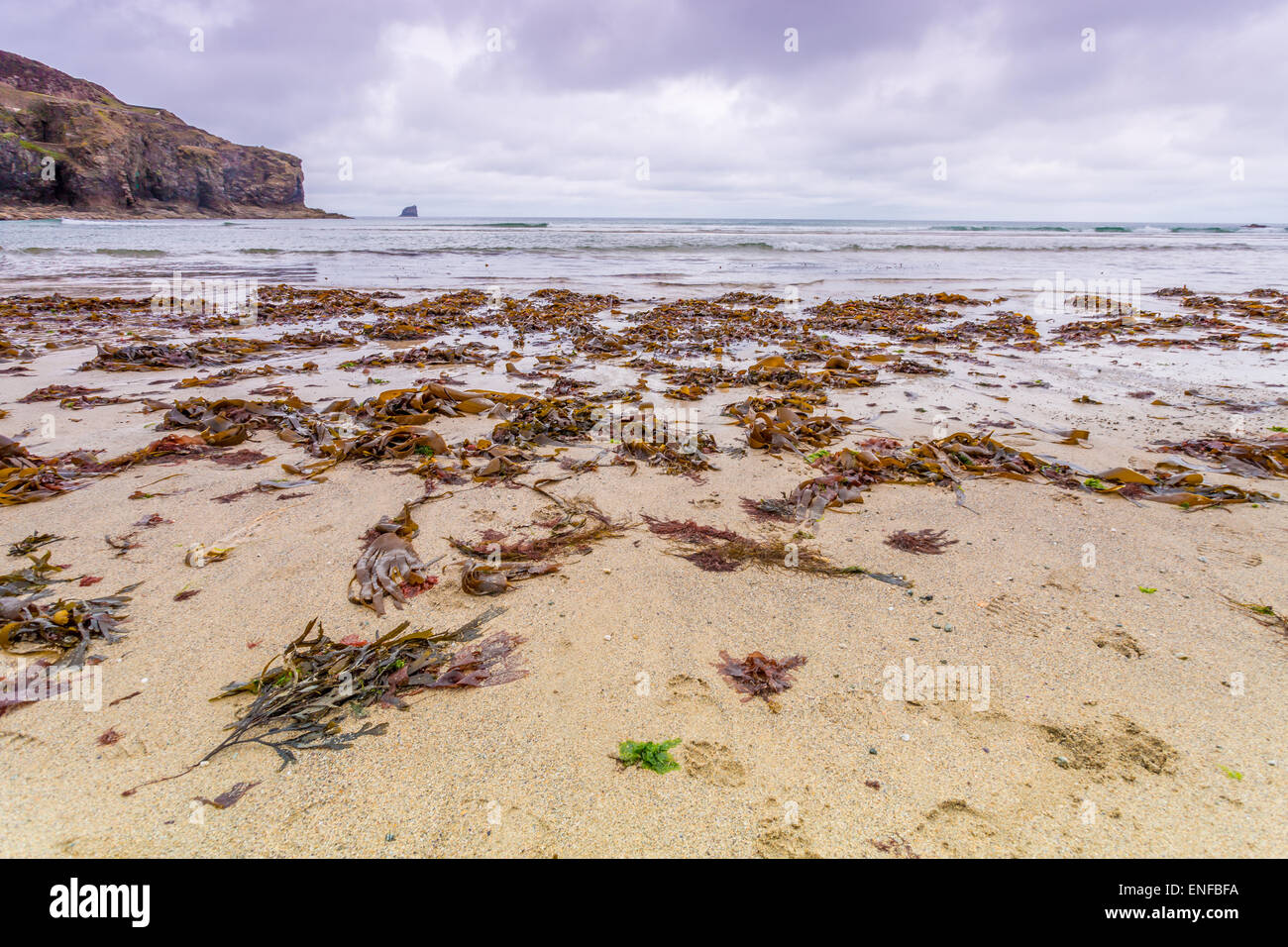 Trevellas Cove High Resolution Stock Photography and Images - Alamy