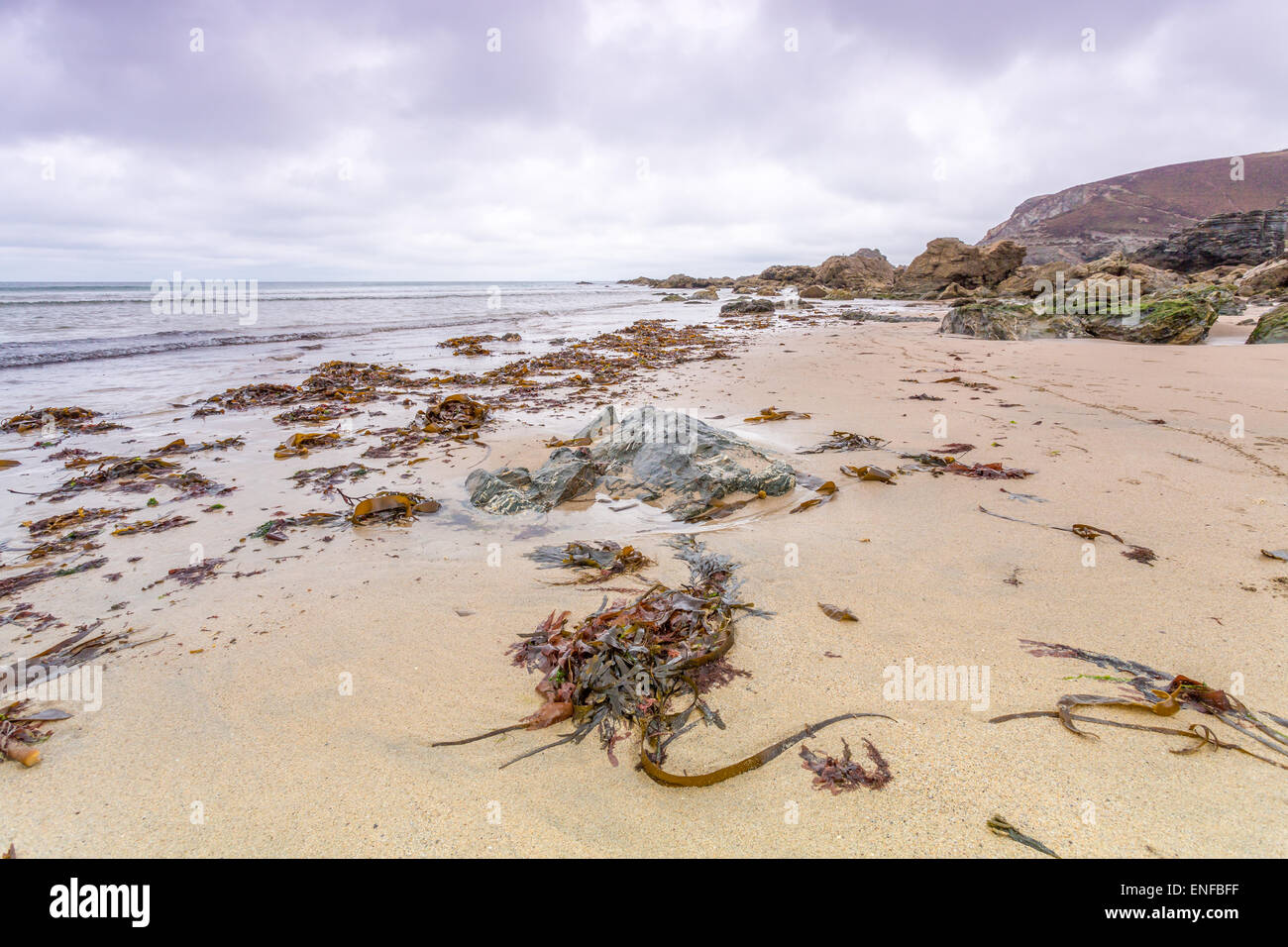 trevaunance cove near trevellas porth in cornwall england uk Stock ...