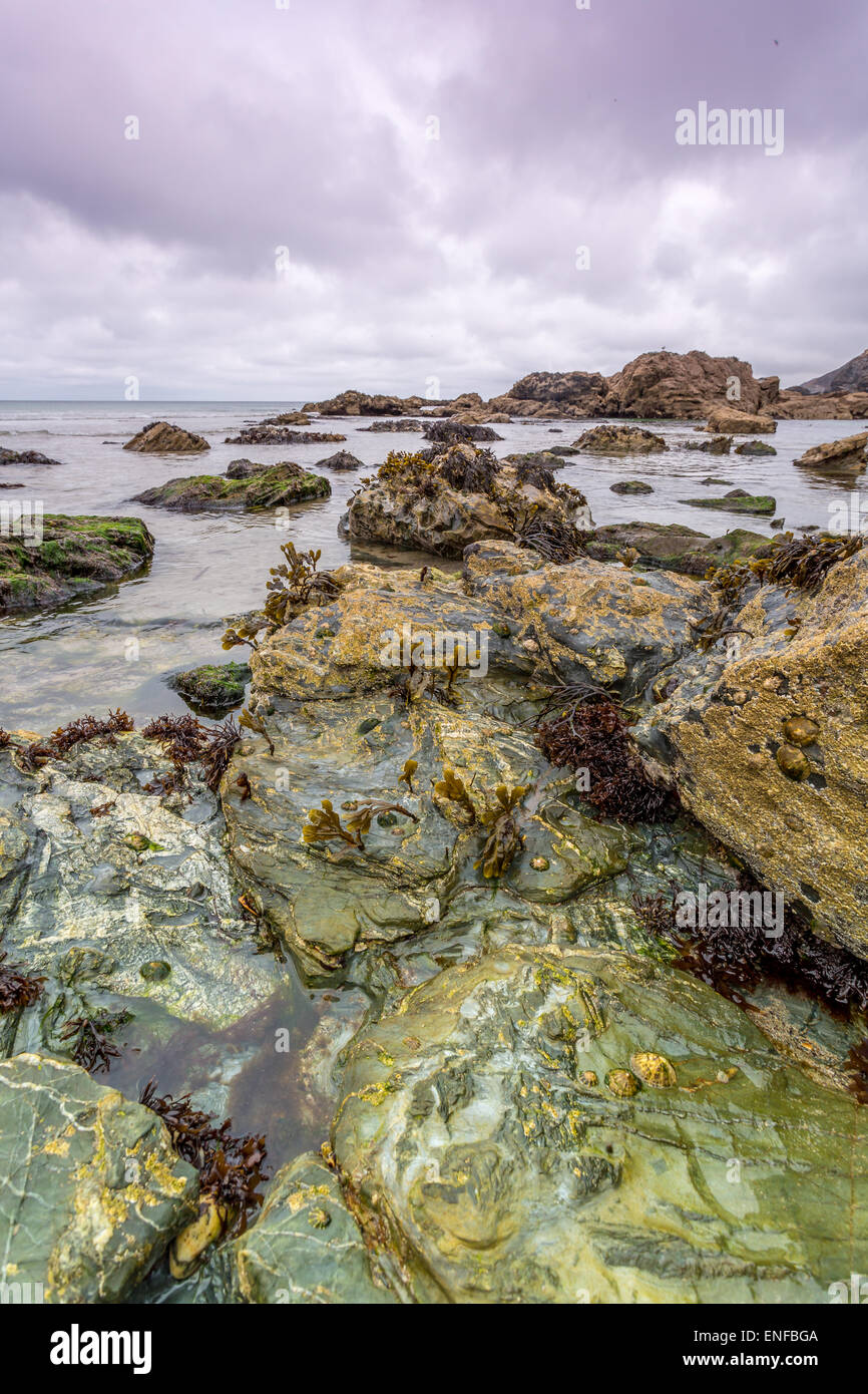 Trevaunance cove trevellas porth hi-res stock photography and images ...