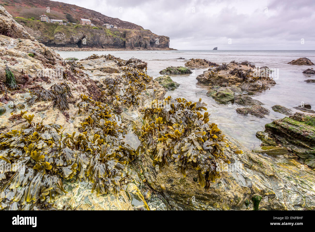 Rock pools in england hi-res stock photography and images - Alamy