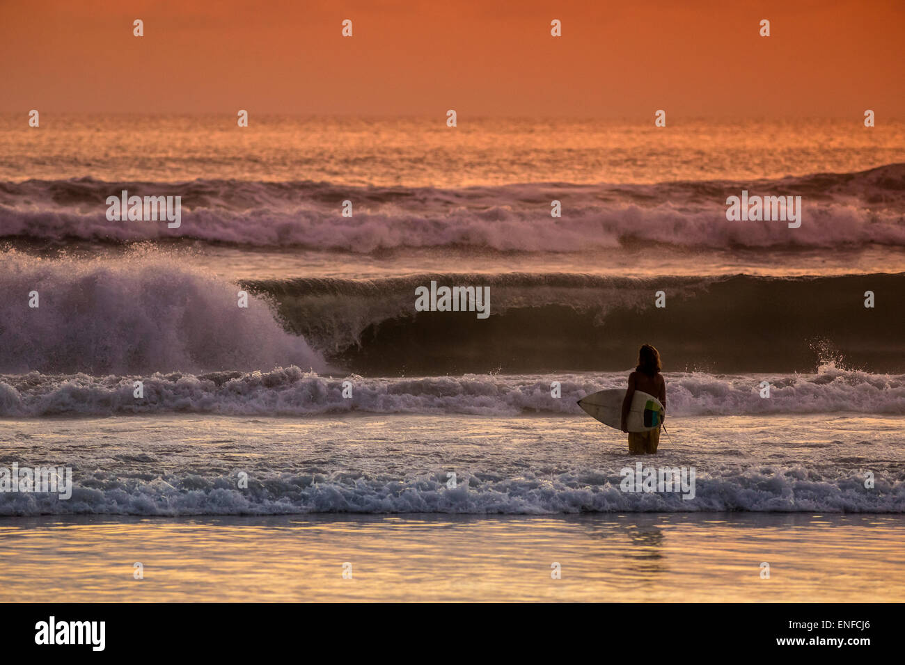 Surfer at sunset Stock Photo - Alamy