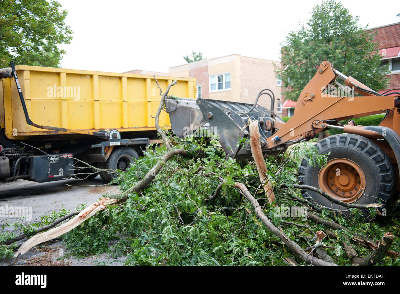 Tree hazard removal hi-res stock photography and images - Alamy