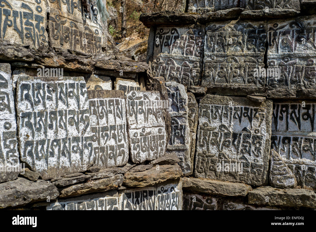 Old Mani Stones inscribed with a Buddhist mantra in the Himalaya region ...