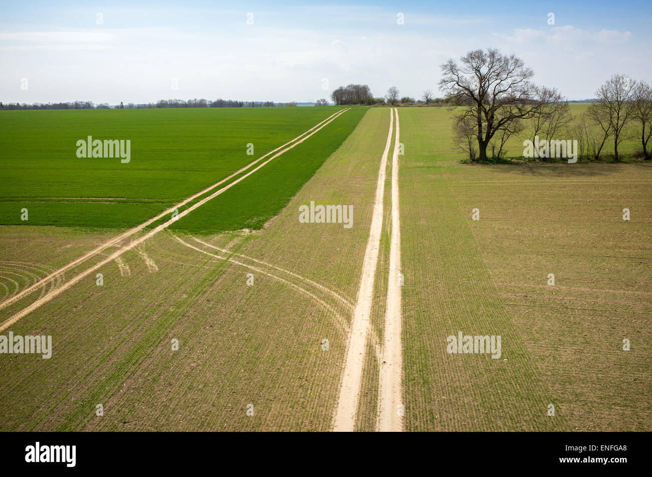 Aerial view of the large green field Stock Photo - Alamy