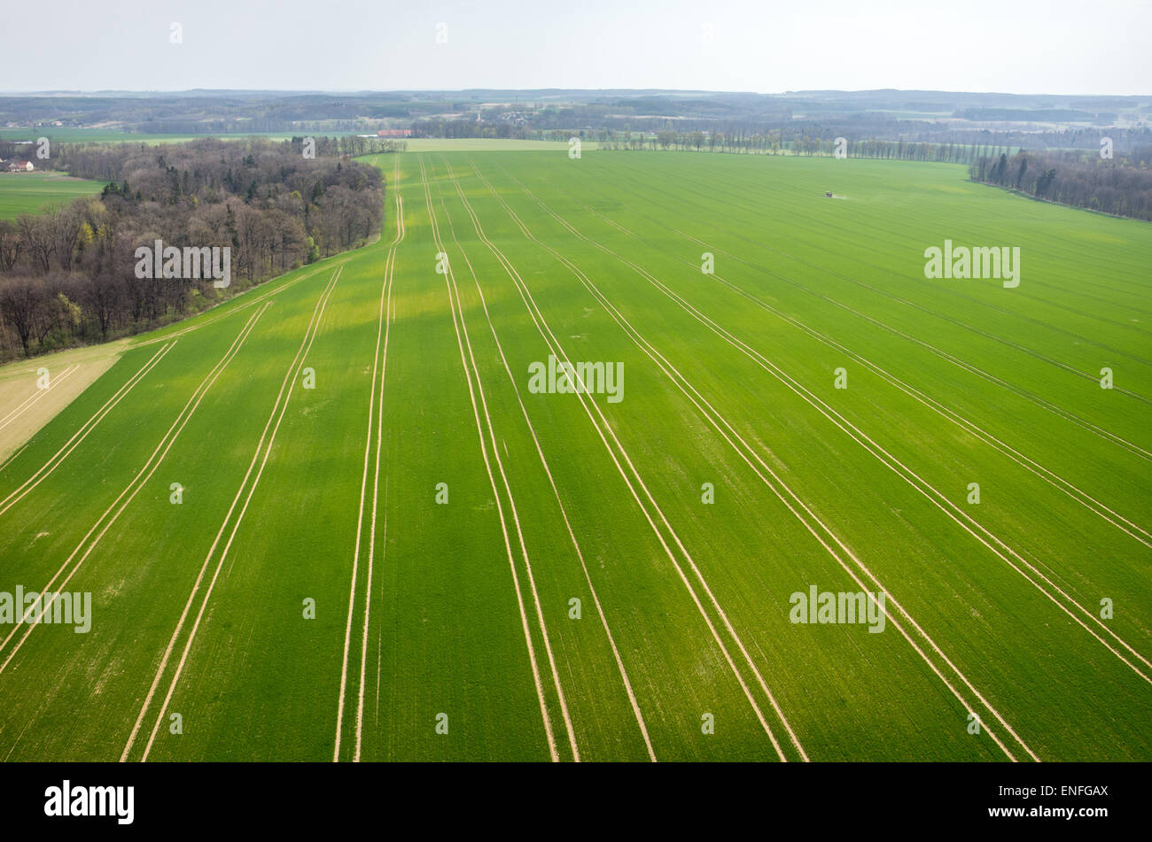 Aerial view of the large green field Stock Photo - Alamy