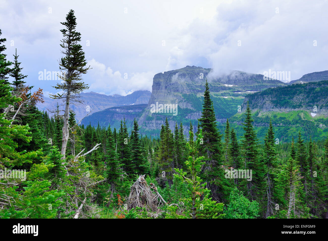 mountains in clouds and high alpine conifer forest in glacier national ...