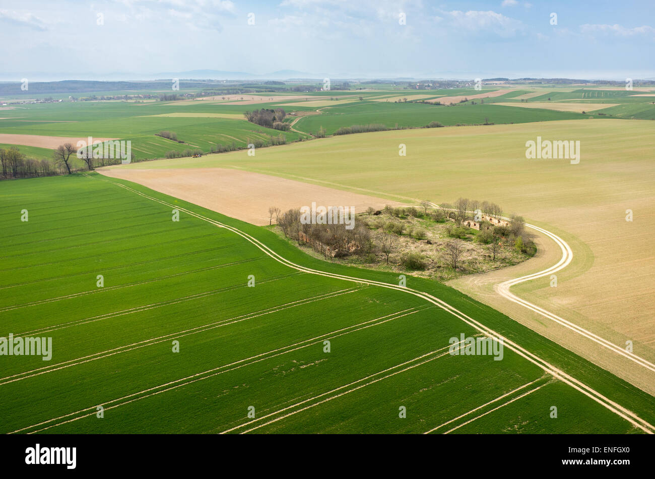 Aerial view of the large green field Stock Photo - Alamy