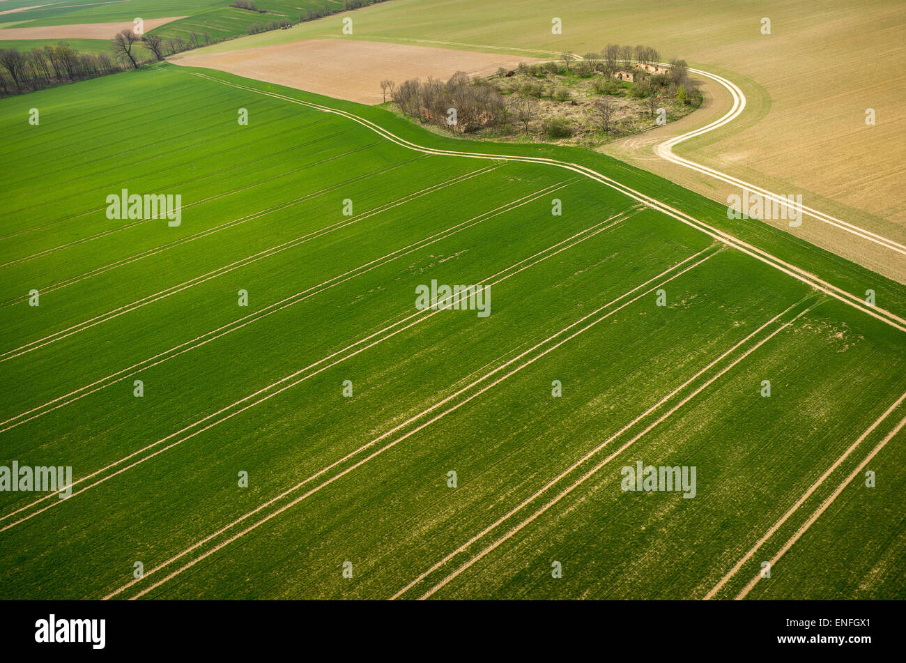 Aerial view of the large green field Stock Photo - Alamy