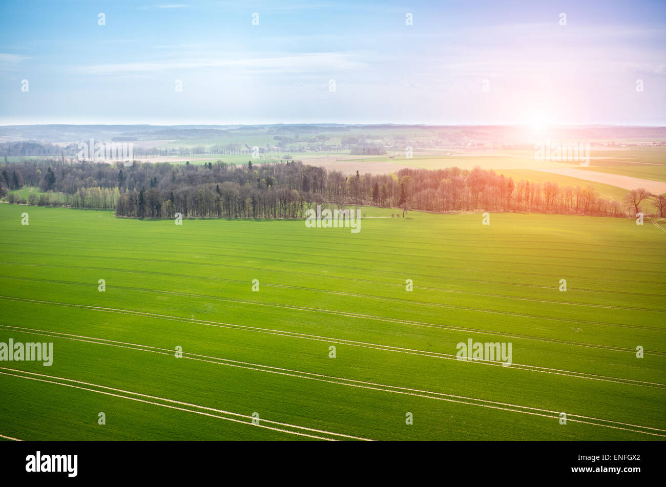 Aerial view of the large green field Stock Photo - Alamy