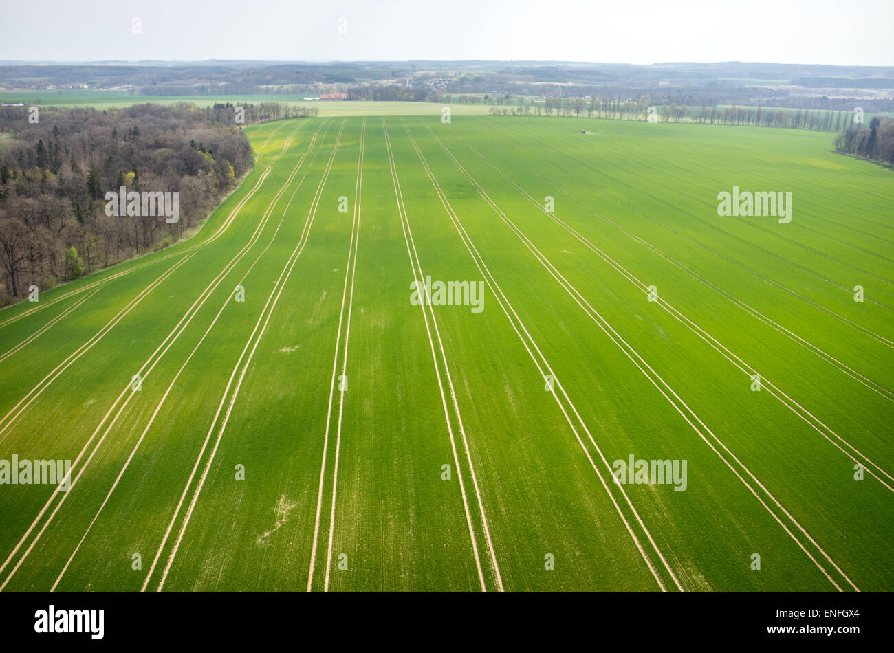 Aerial view of the large green field Stock Photo - Alamy