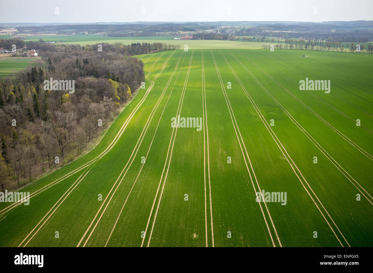 Aerial view of the large green field Stock Photo - Alamy