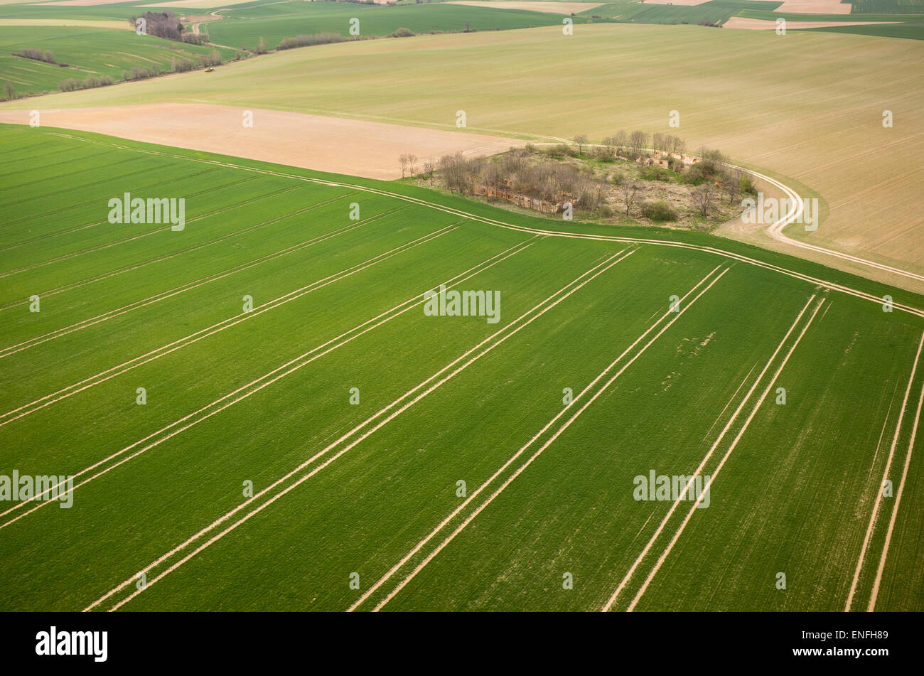 Aerial view of the large green field Stock Photo - Alamy