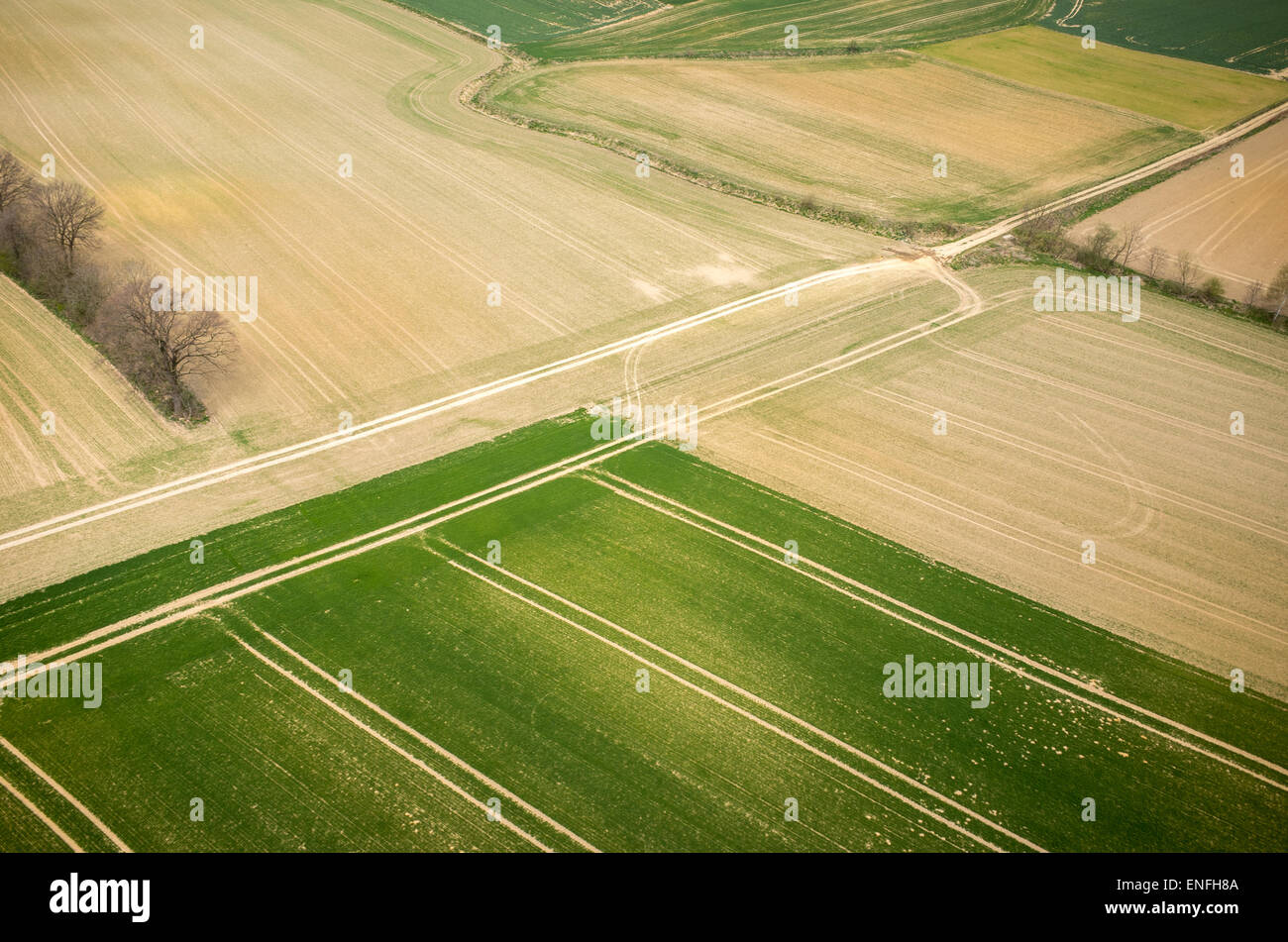 Aerial view of the large green field Stock Photo - Alamy