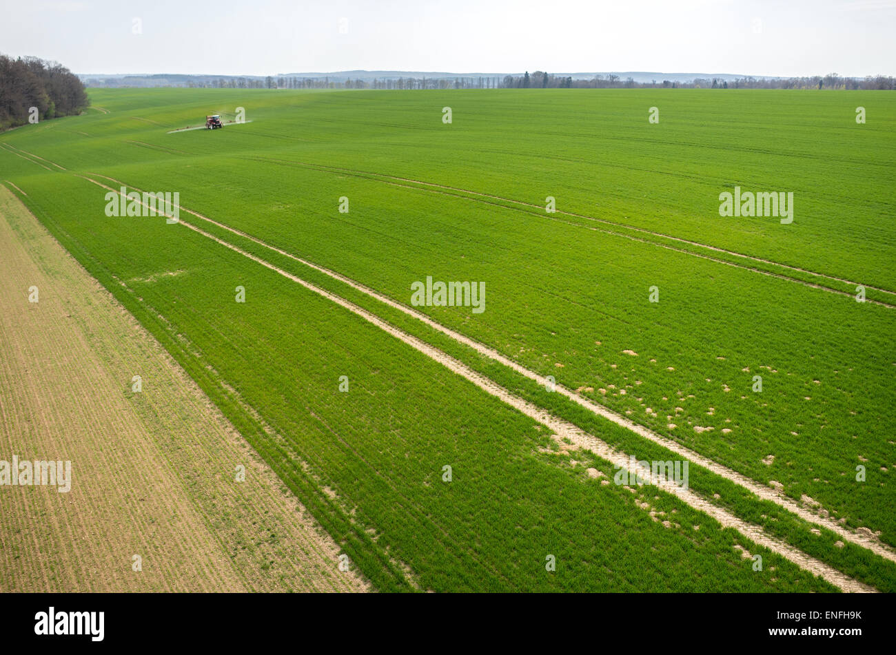 Aerial view of the large green field Stock Photo - Alamy
