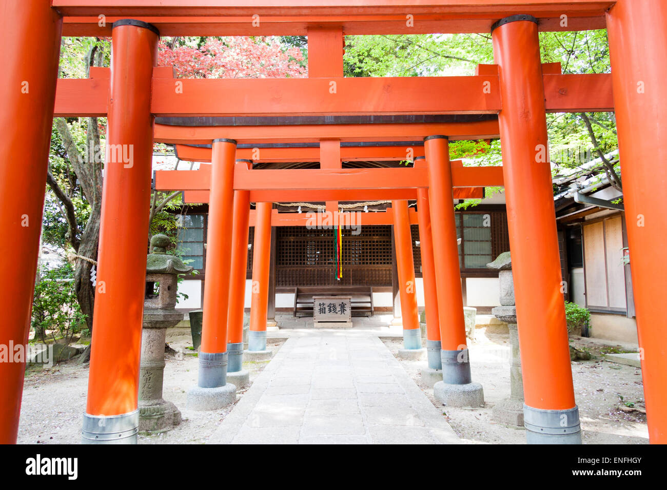Japan, Nara, Yakushiji temple. View through five vermilion wooden torii ...
