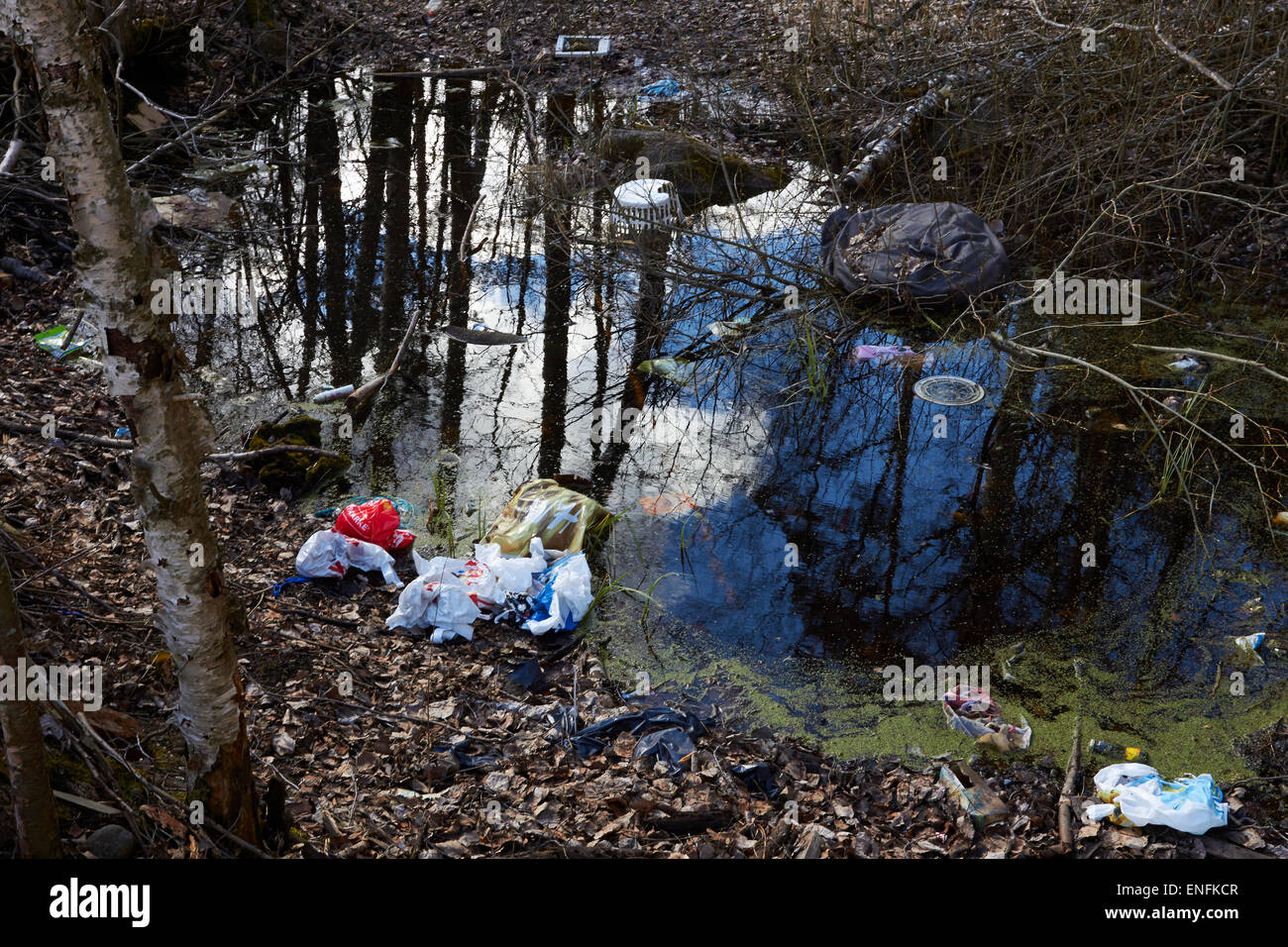 Littered environment hi-res stock photography and images - Alamy