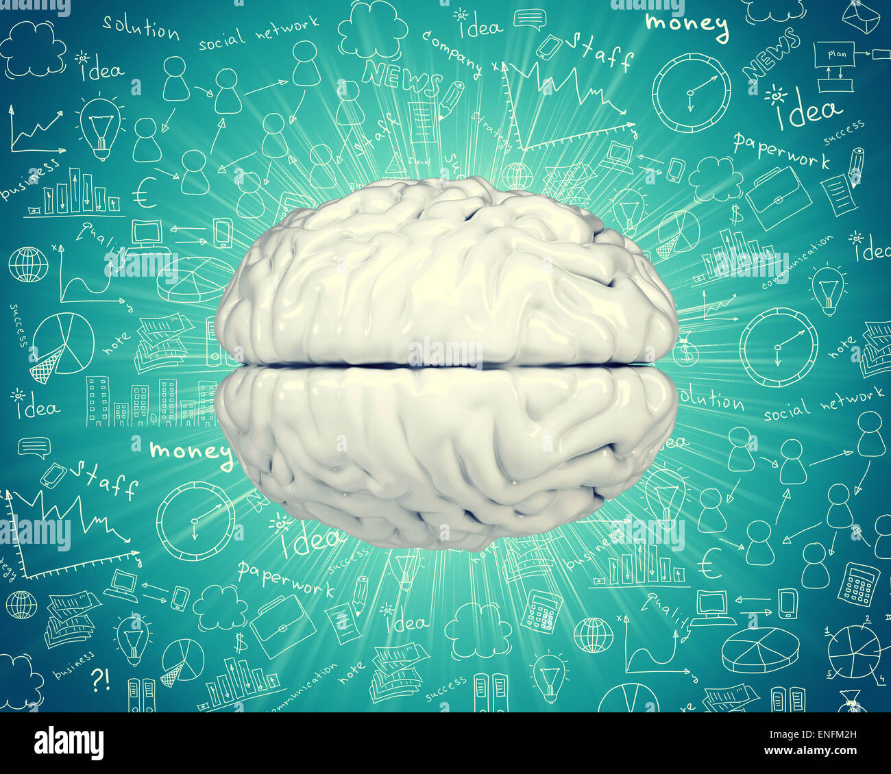 Model of human brain Stock Photo - Alamy