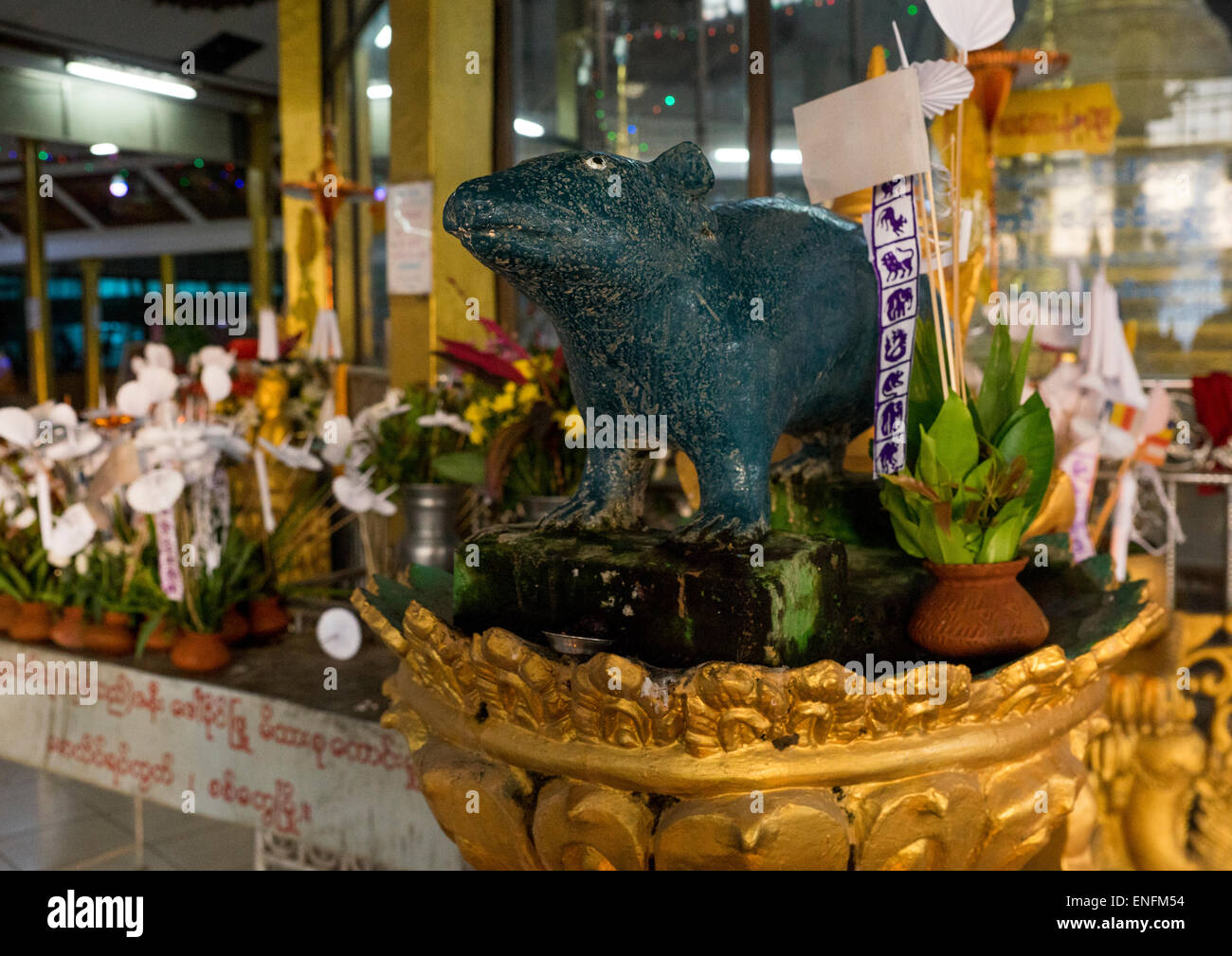 Shrine rat temple hi-res stock photography and images - Alamy
