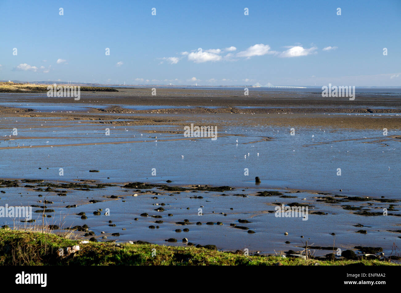 Foreshore and Bristol Channel, Cardiff, Wales, UK Stock Photo - Alamy