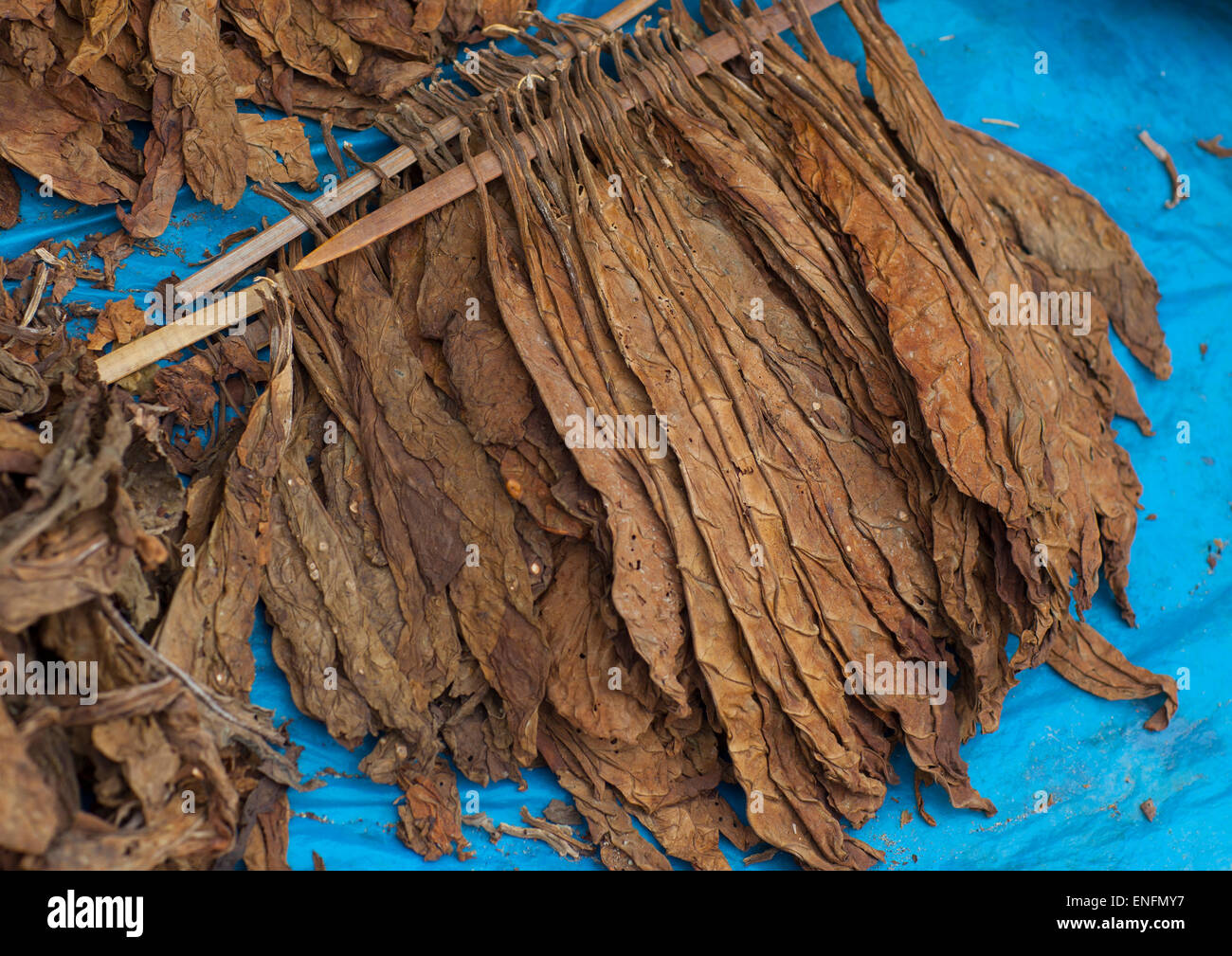 Tobacco for sale hi-res stock photography and images - Alamy