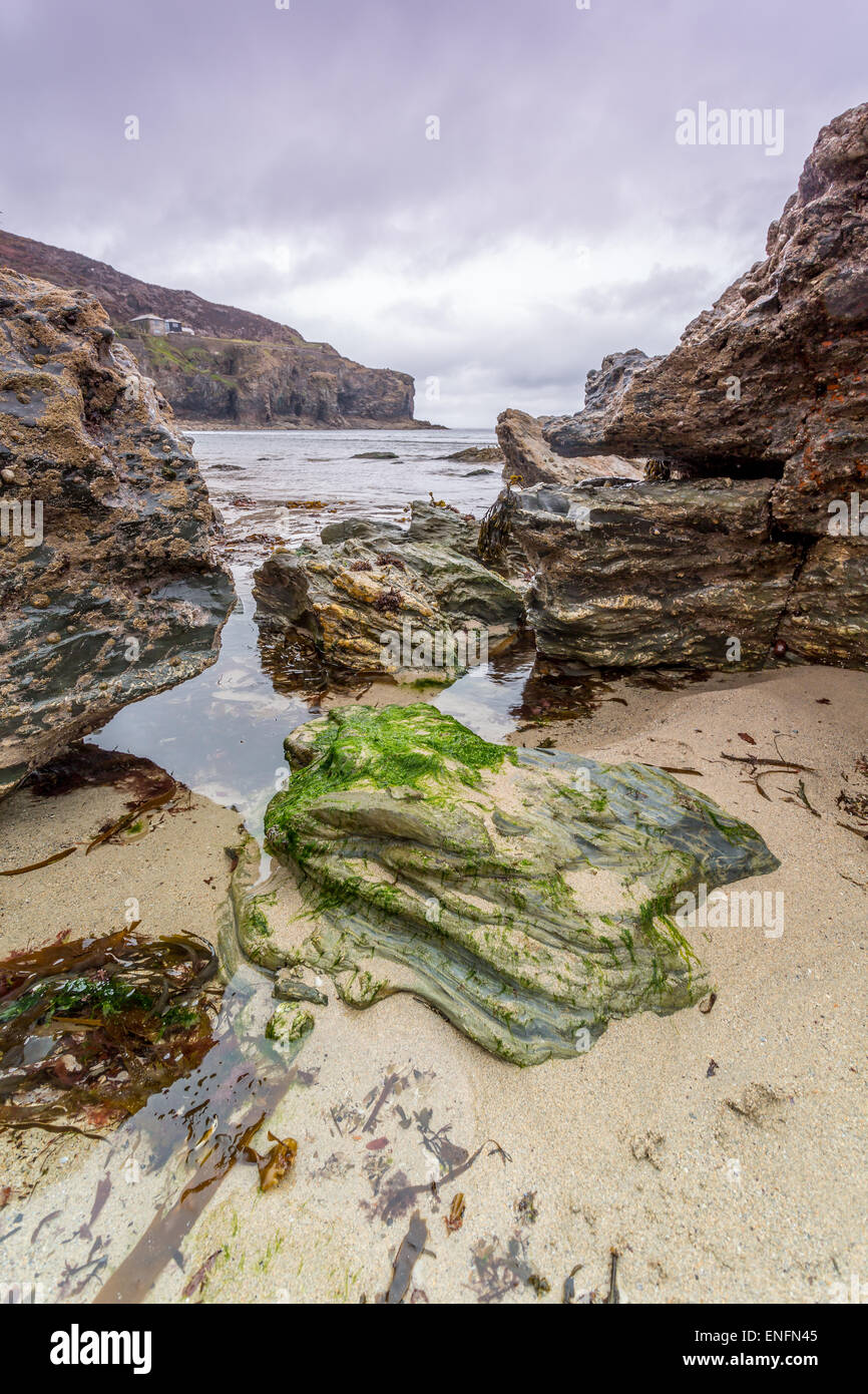 Rock pools on trevauance cove beach in cornwall england uk Stock Photo ...