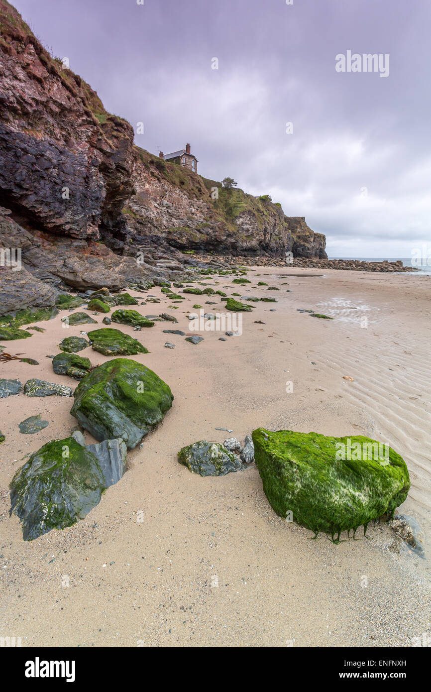 Trevauance cove near trevellas porth in cornwall england uk Stock Photo ...