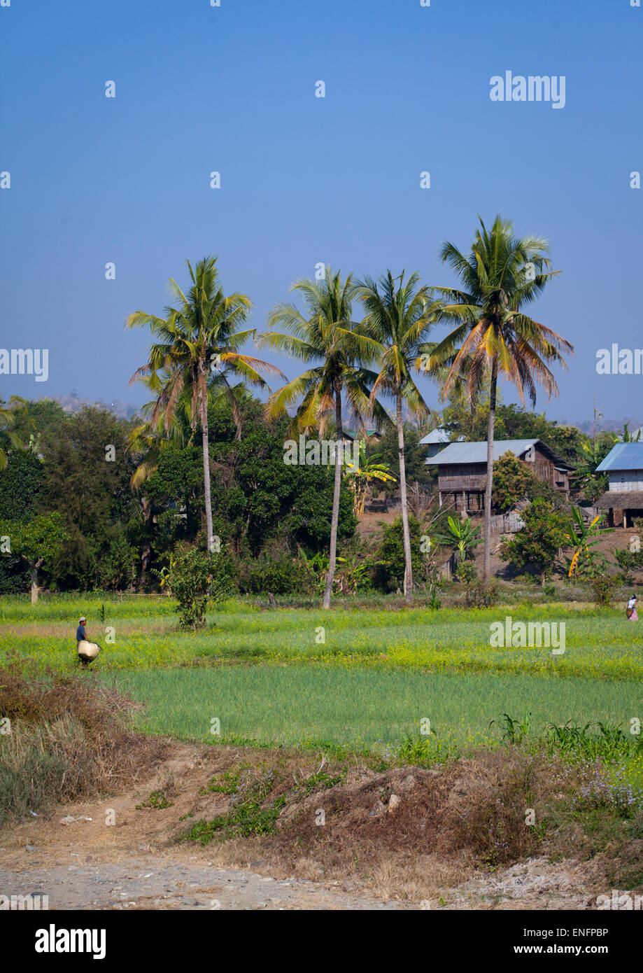 Typical Farm, Mindat, Myanmar Stock Photo - Alamy