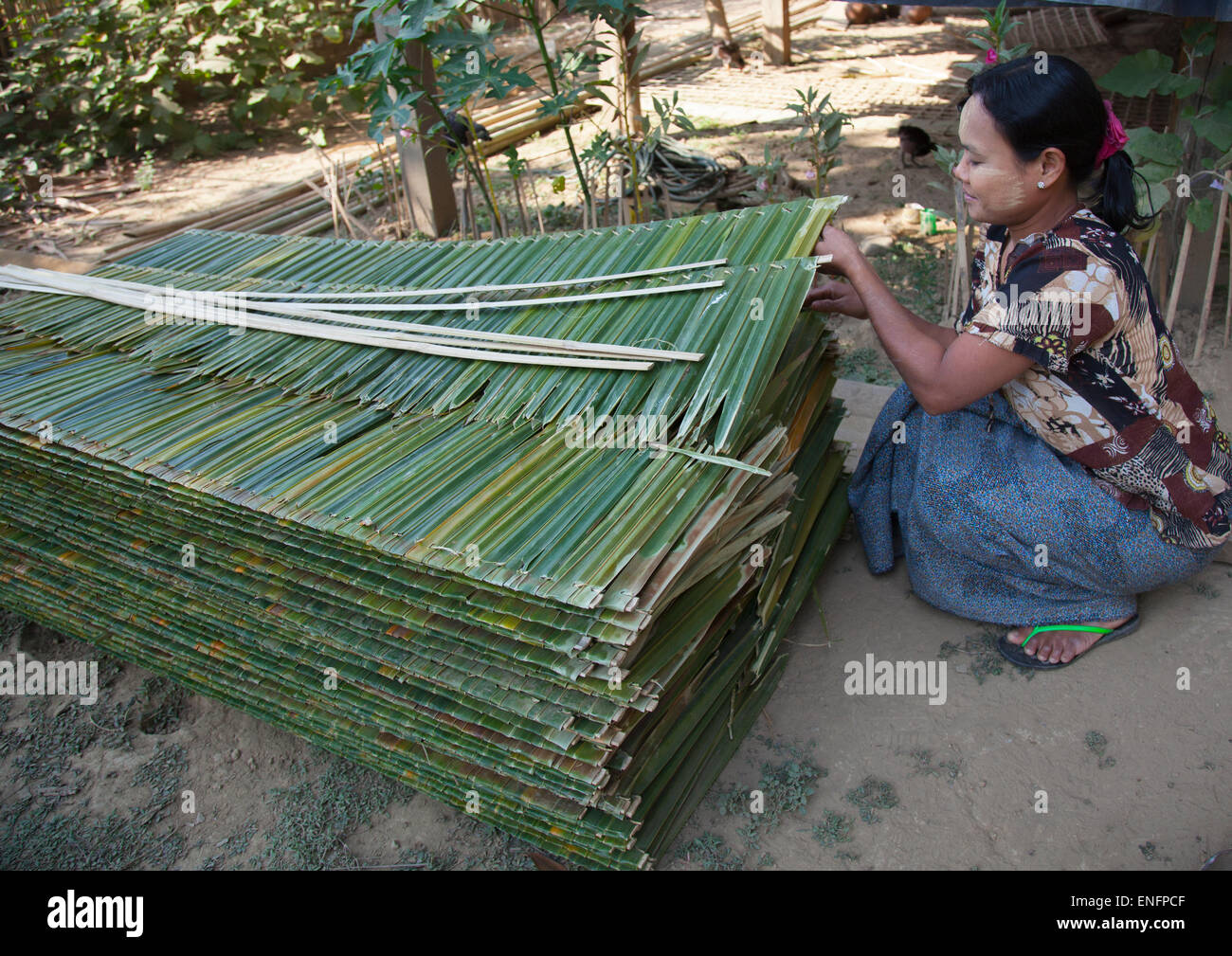 Rohingya Woman Making A New Roof With Palm Leaves, Thandwe, Myanmar ...