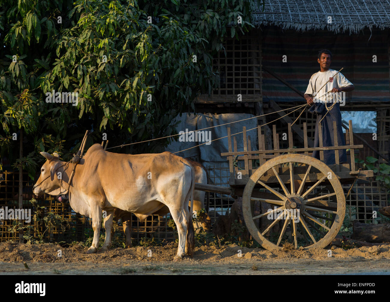 Myanmar 969 movement hi-res stock photography and images - Alamy