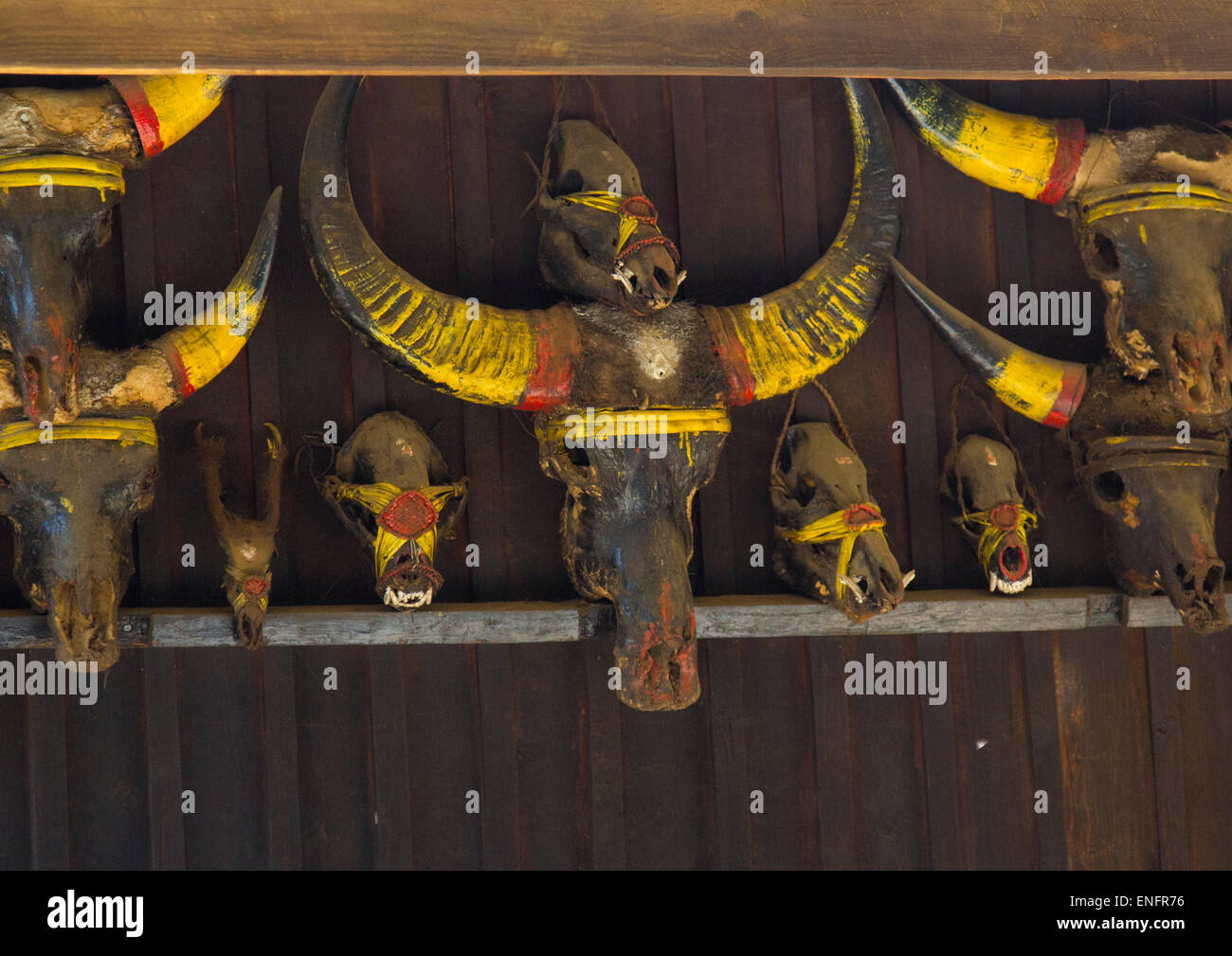 Gaur myanmar hi-res stock photography and images - Alamy