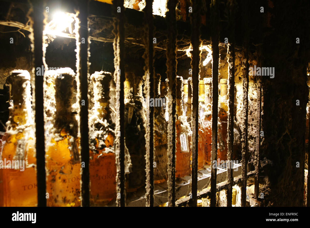 Macik winery hi-res stock photography and images - Alamy