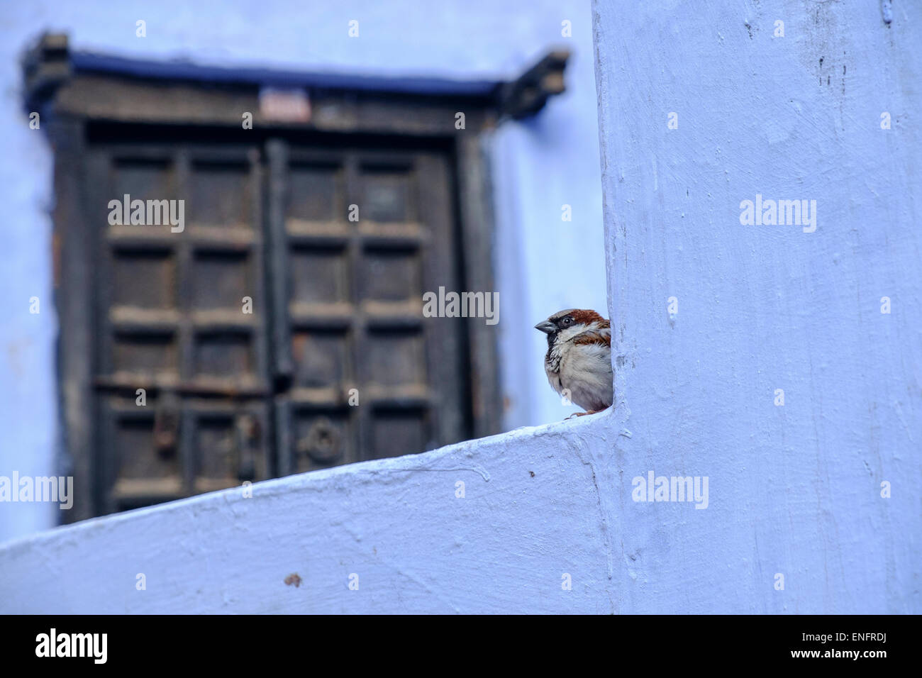Bundi is a city in the Hadoti region of Rajasthan, India. Pavilion on ...