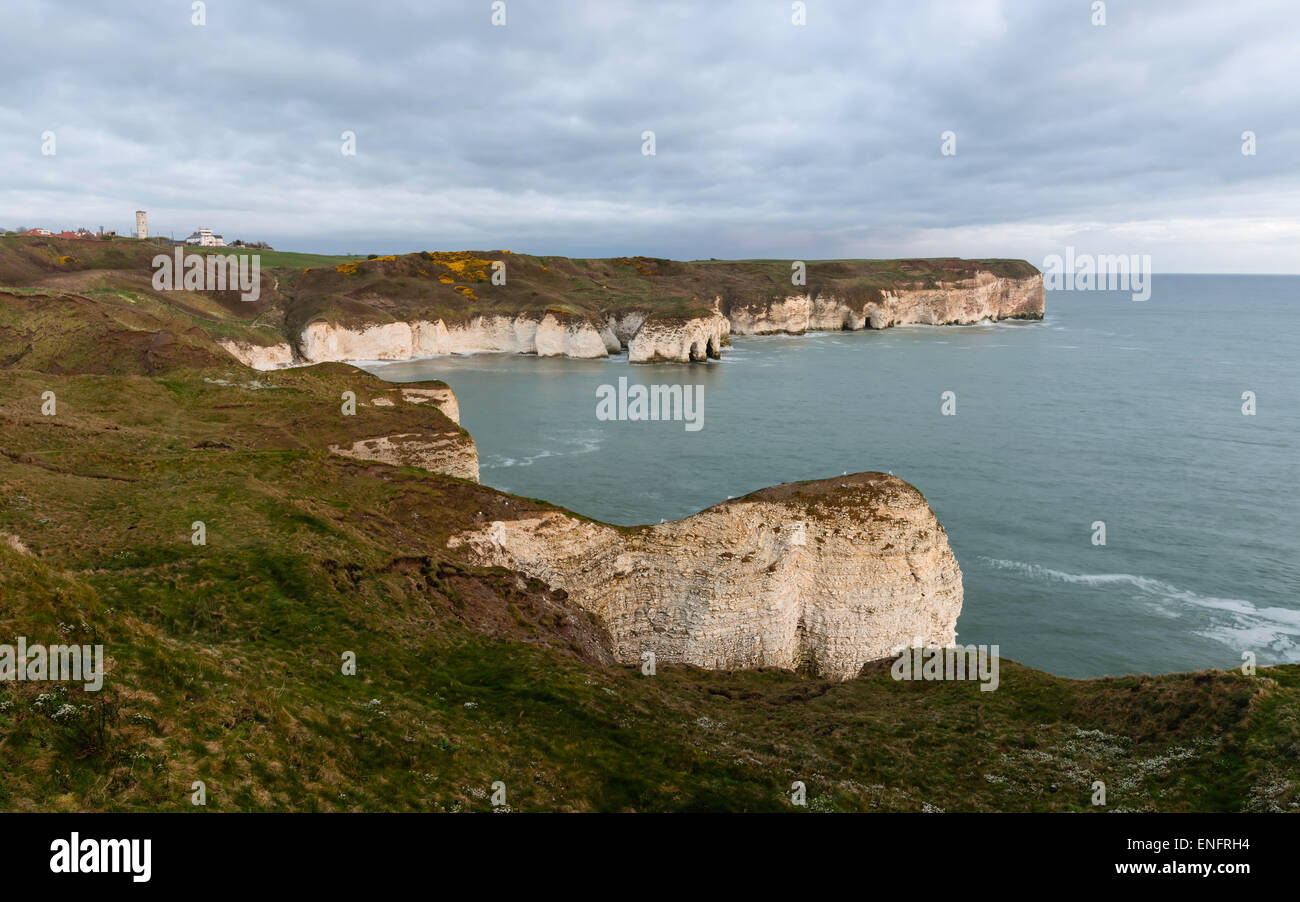 The rugged coastline with high chalk cliffs and flora as dawn breaks ...