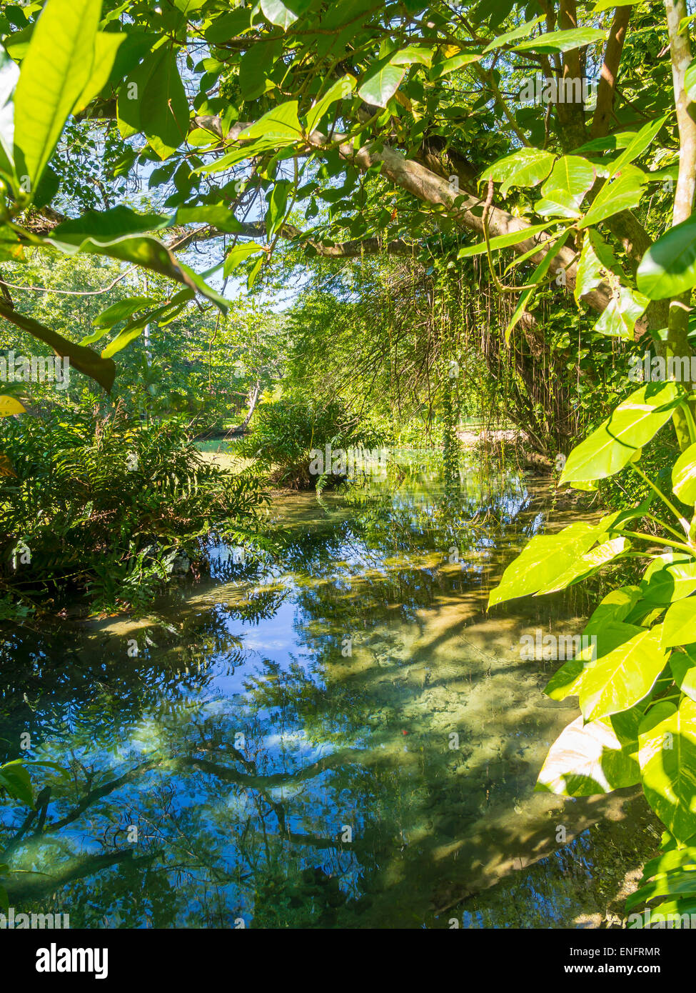 Freshwater river, near Frenchmans Cove, Drapers, Portland region ...