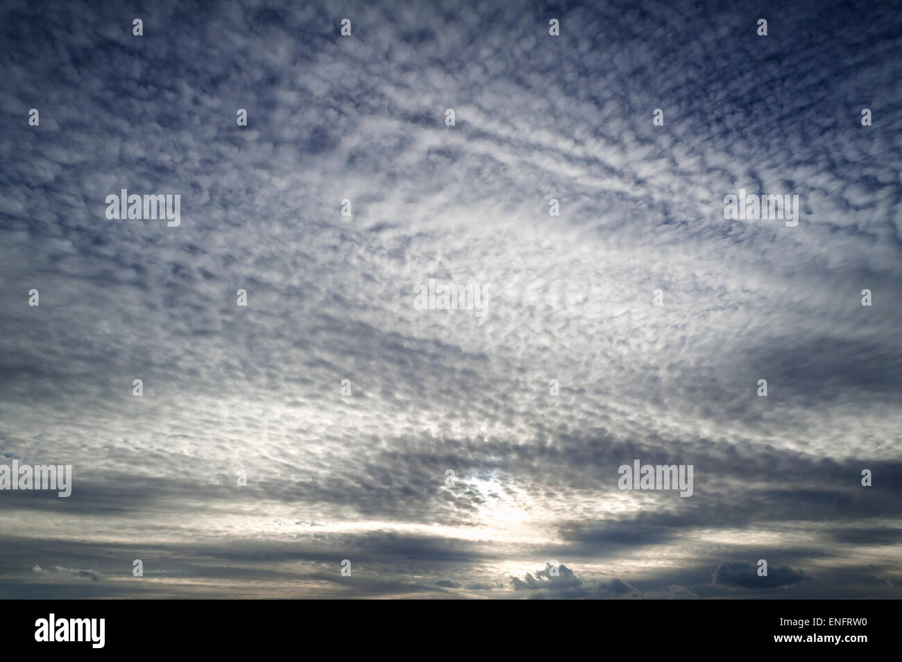 Large fluffy clouds, altocumulus Stock Photo - Alamy