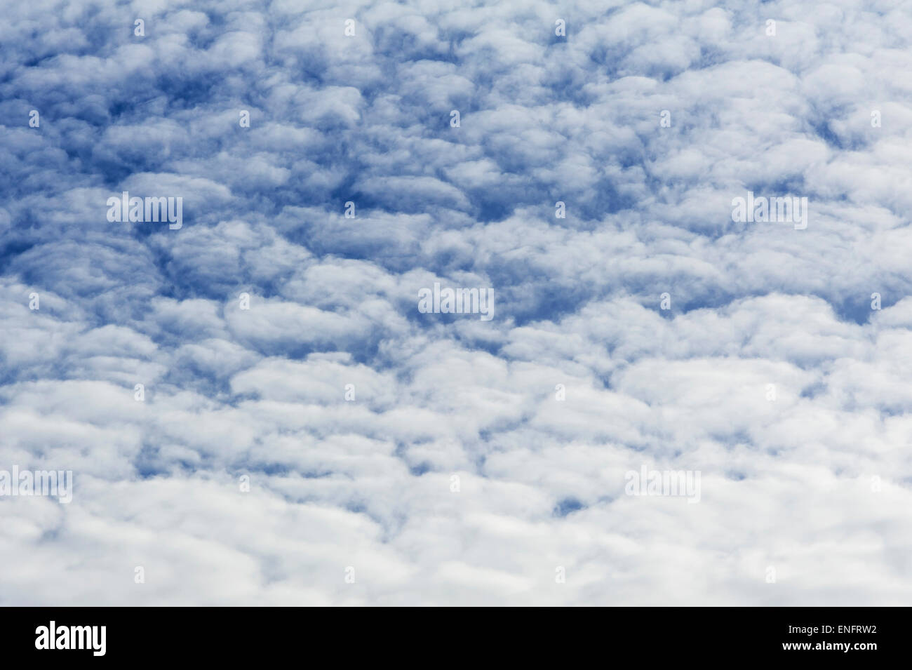 Large fluffy clouds, altocumulus Stock Photo - Alamy