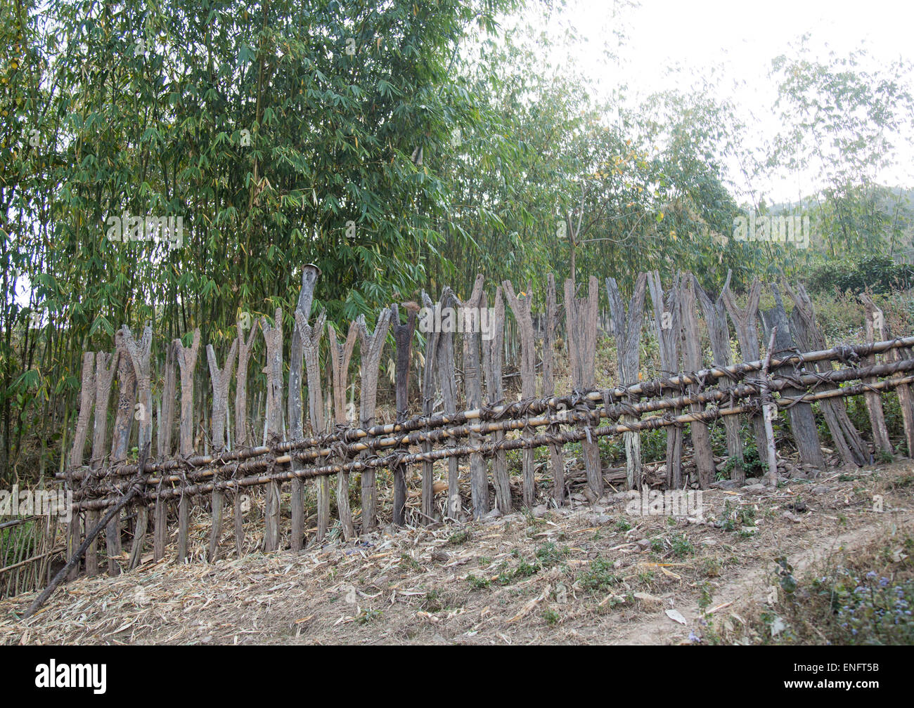 Y Shape Totems Representing The Animal Sacrifices, Mindat, Myanmar ...