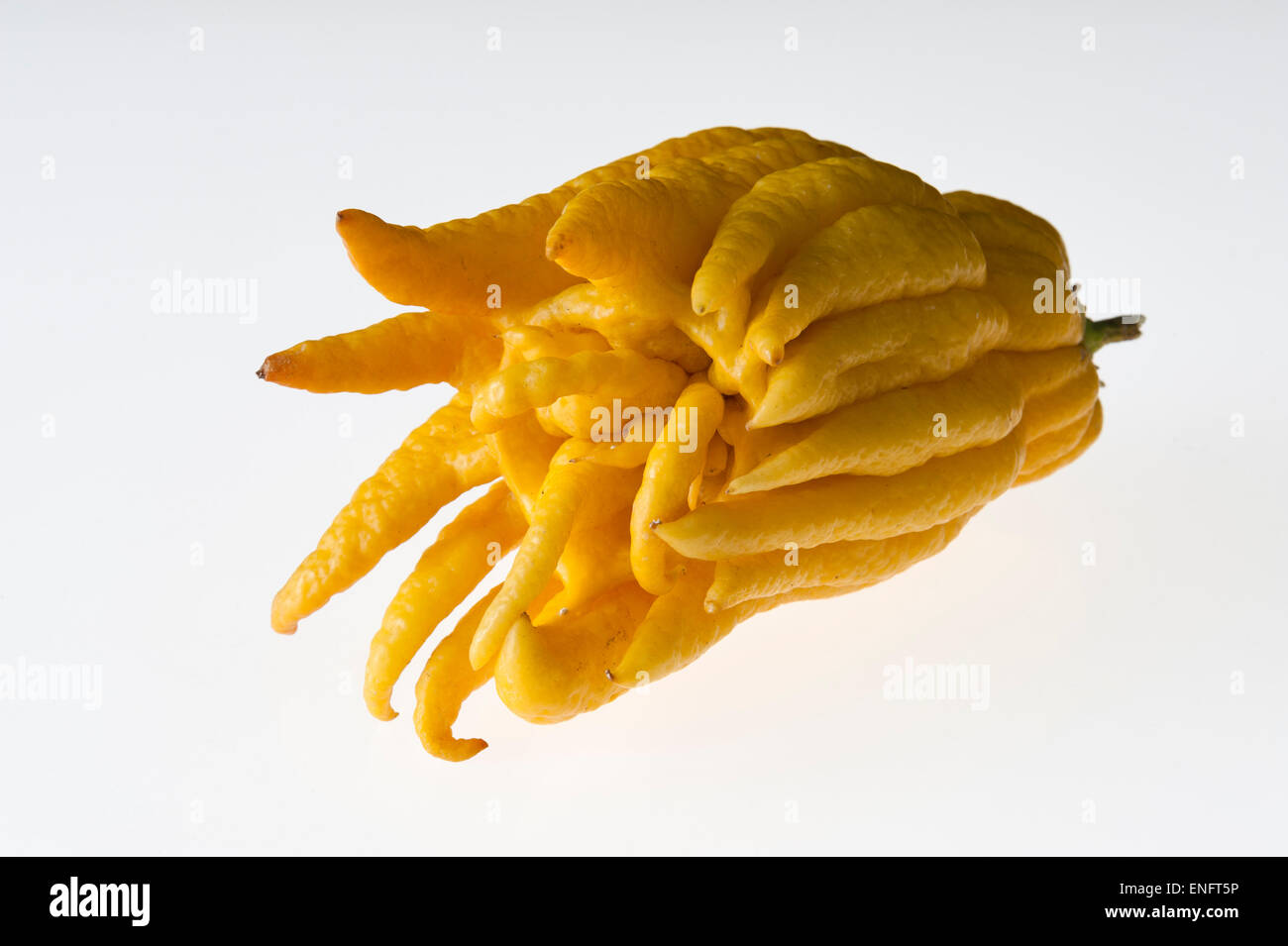 Lemon buddhas hand hi-res stock photography and images - Alamy