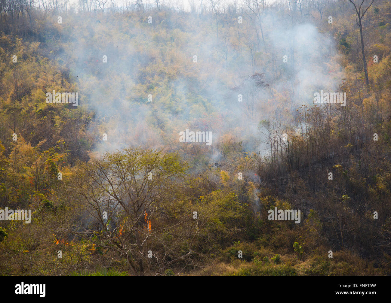 Forest Fire, Mindat, Myanmar Stock Photo - Alamy