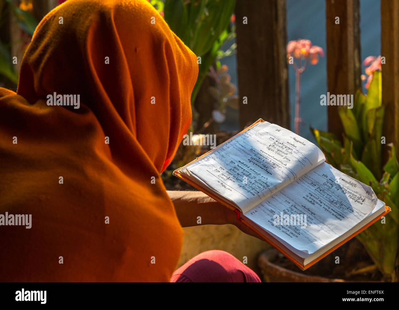 Monk Reading A Book, Inle Lake, Myanmar Stock Photo - Alamy