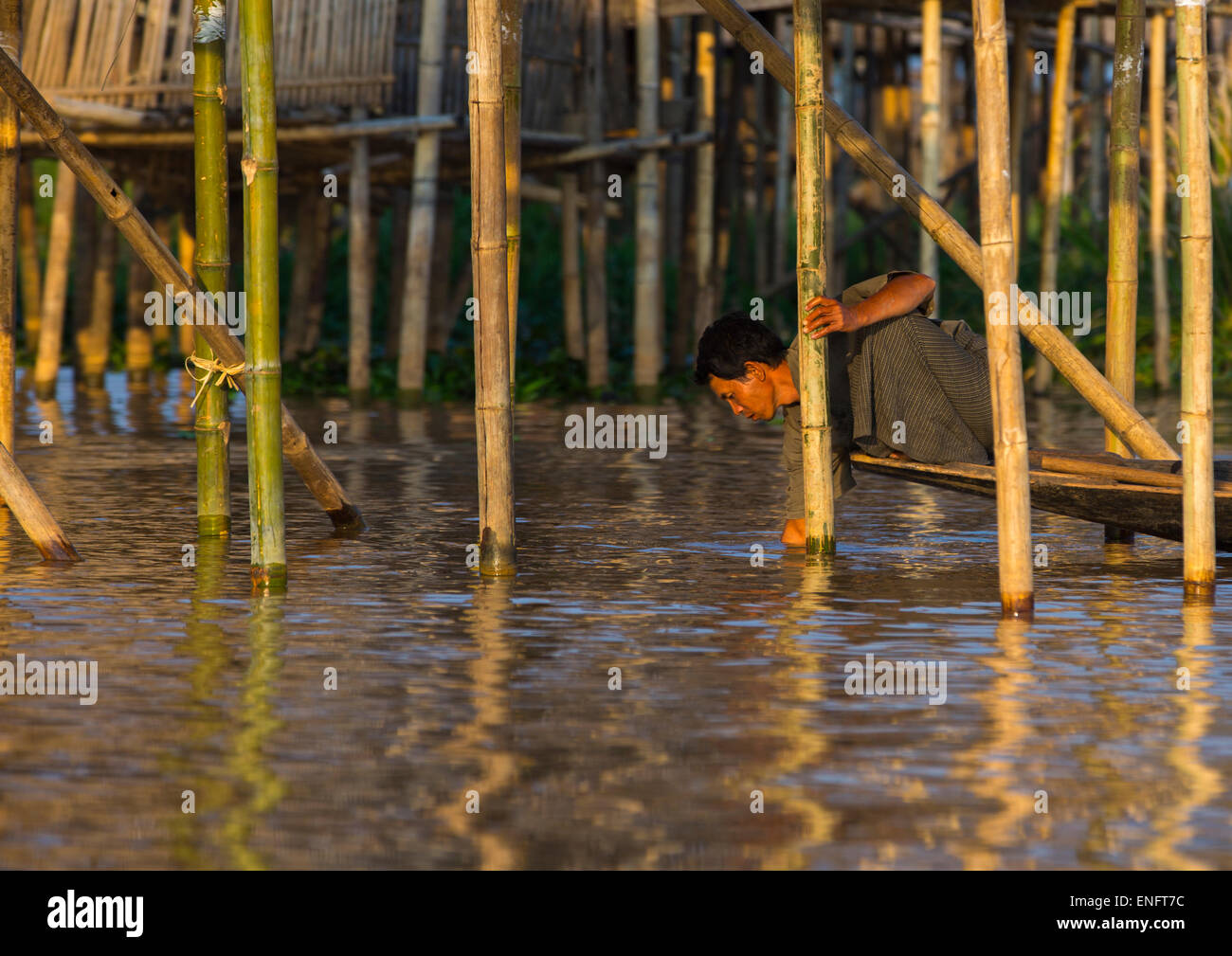 Man Washing In The Water, Inle Lake, Myanmar Stock Photo - Alamy