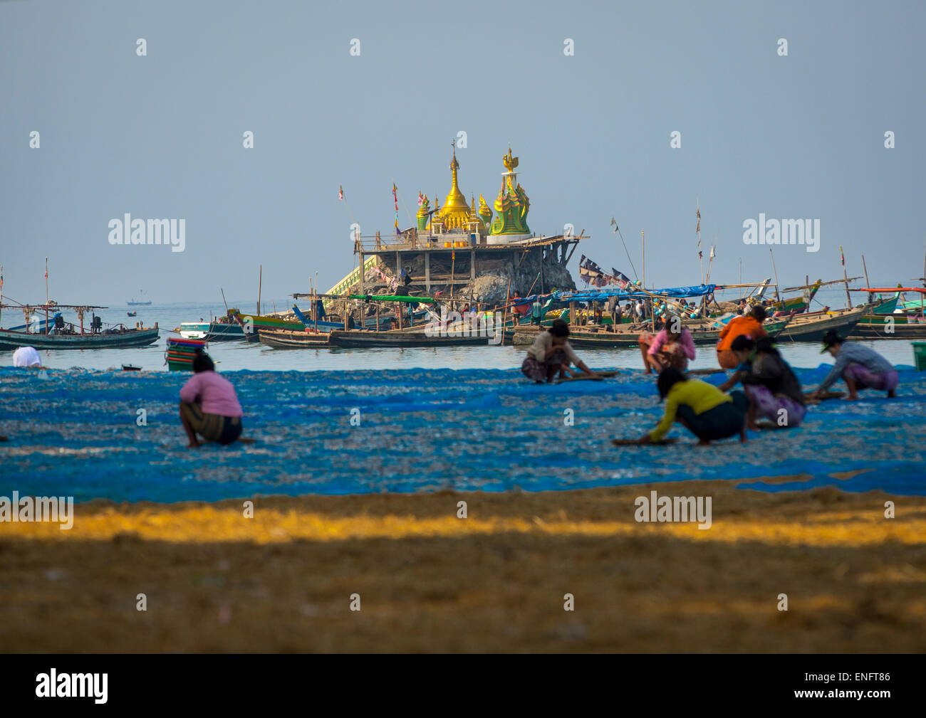 Women Putting Dried Fish On The Floor, Ngapali, Myanmar Stock Photo - Alamy