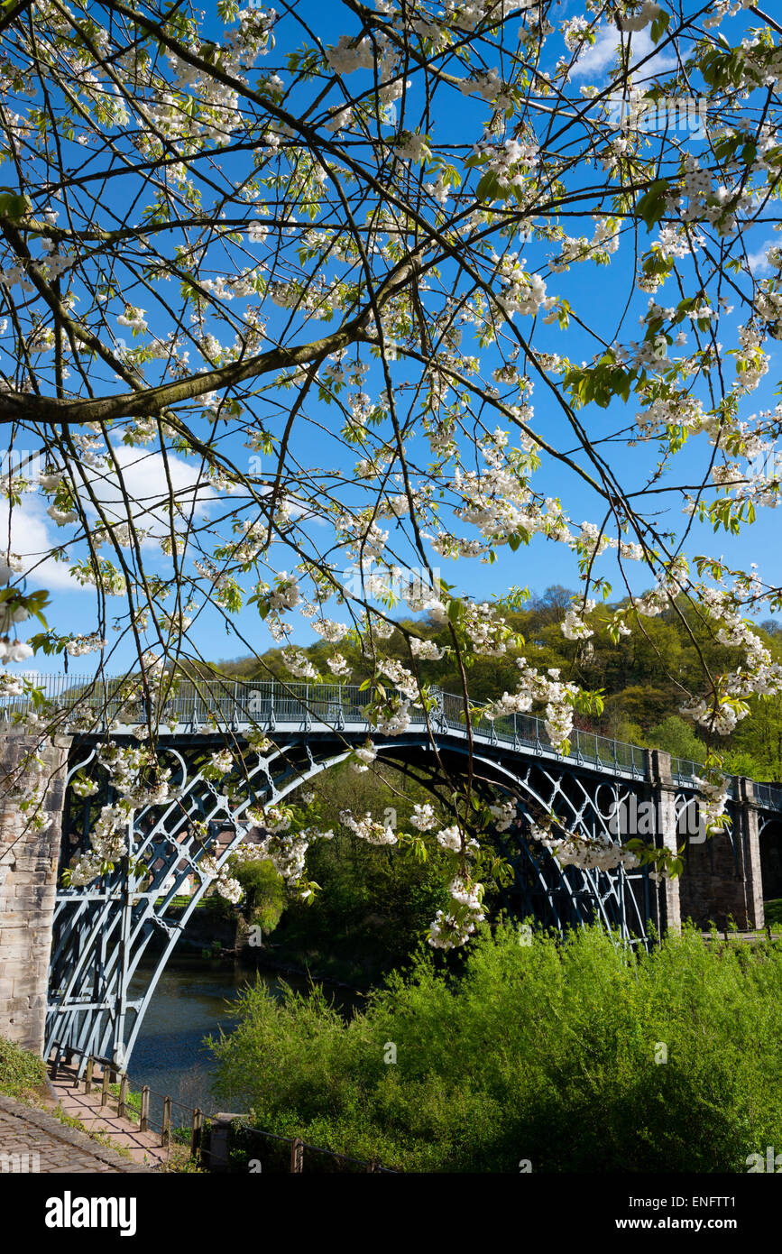 Spring thomas hi-res stock photography and images - Alamy